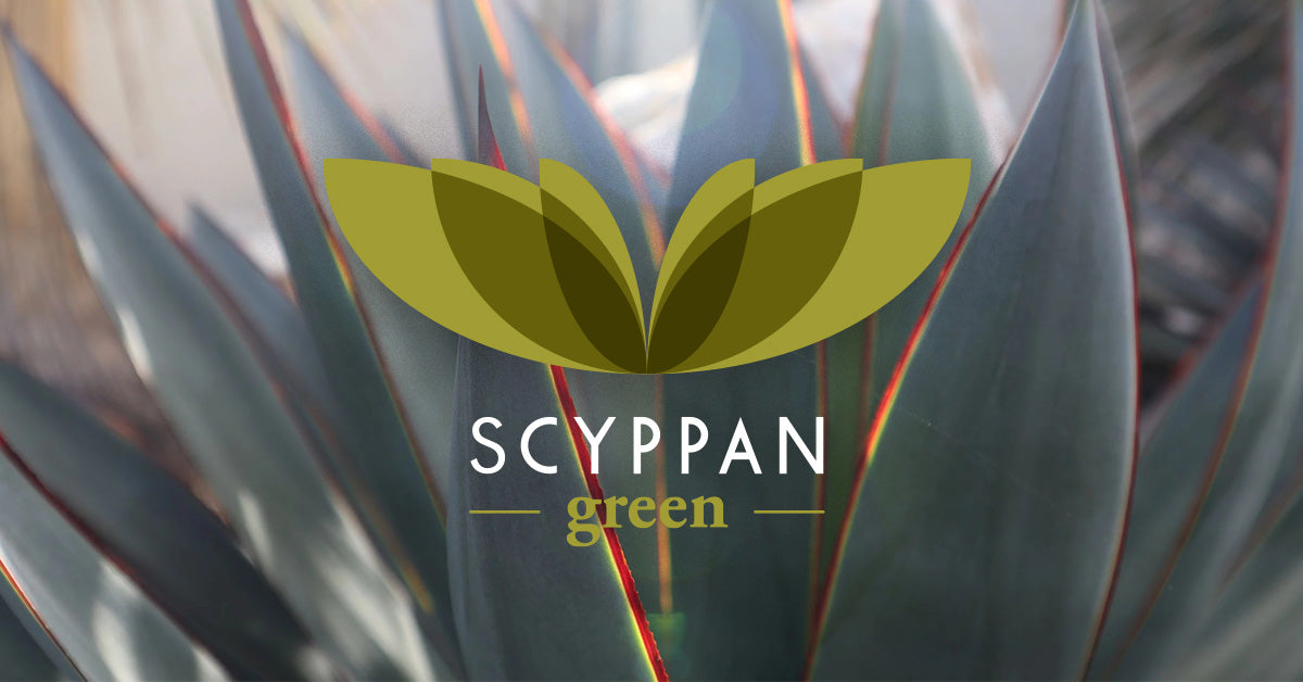 scyppan green